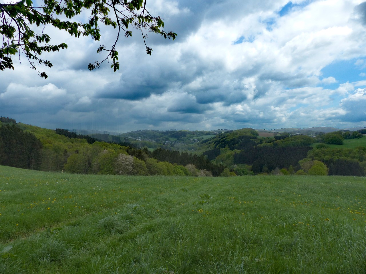 Weiter Blick – Naturwunderer